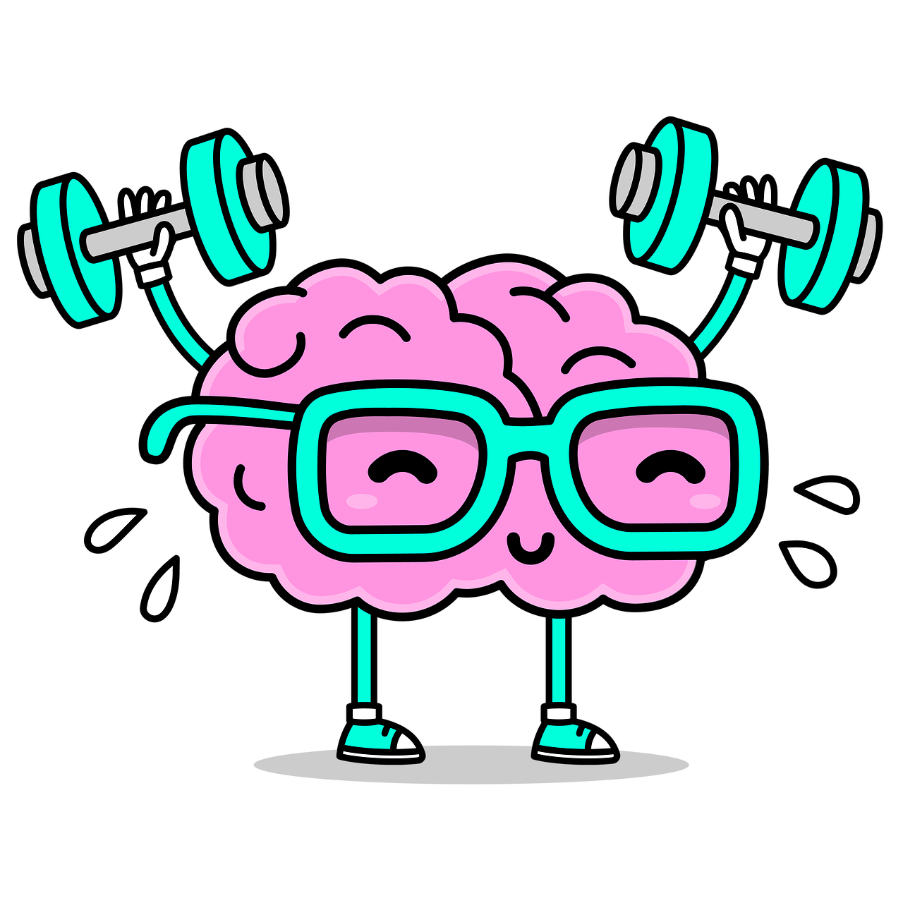 Theories of Multimedia Learning – EDCI 337